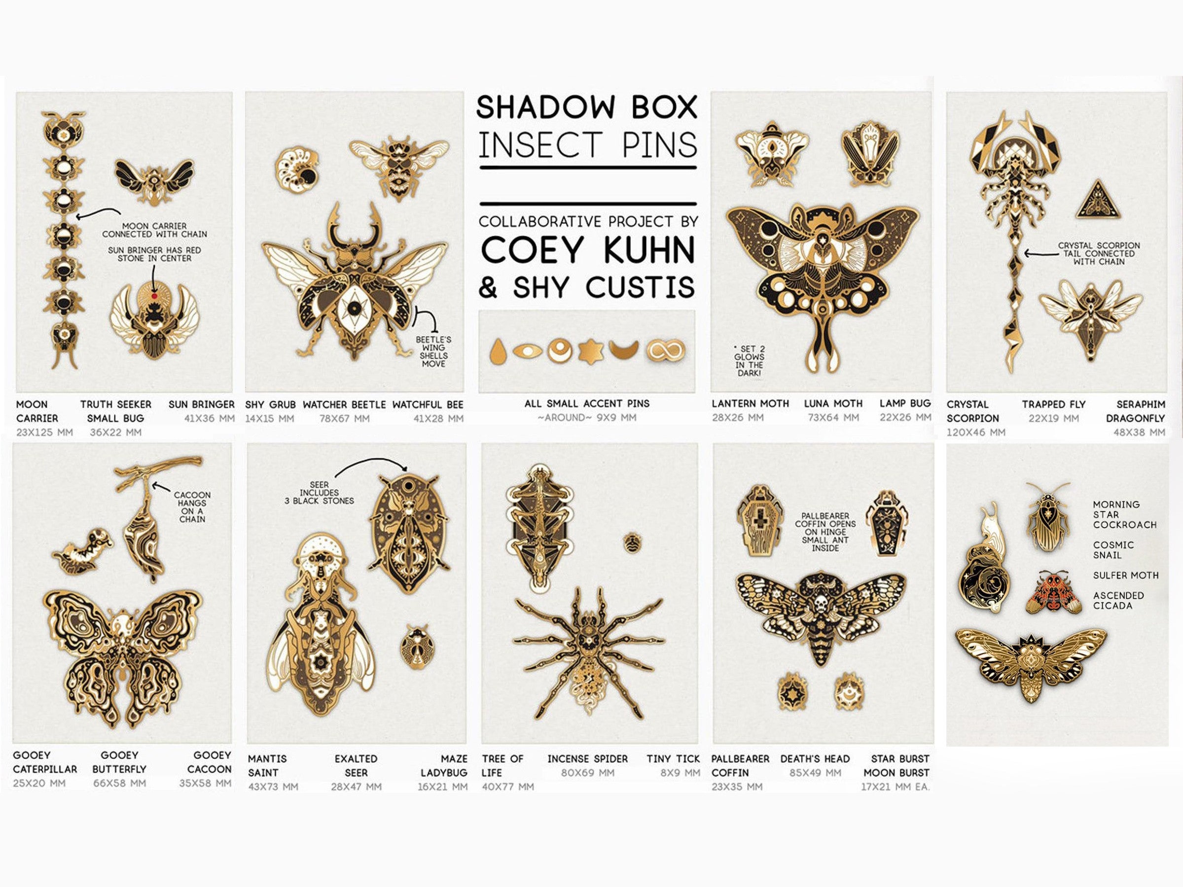 insect shadow box